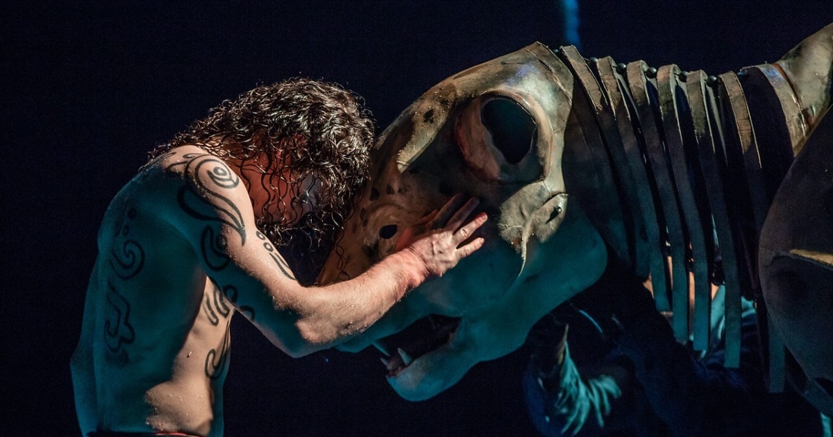 Humans… Cast as Animals! | Blog - Cirque du Soleil