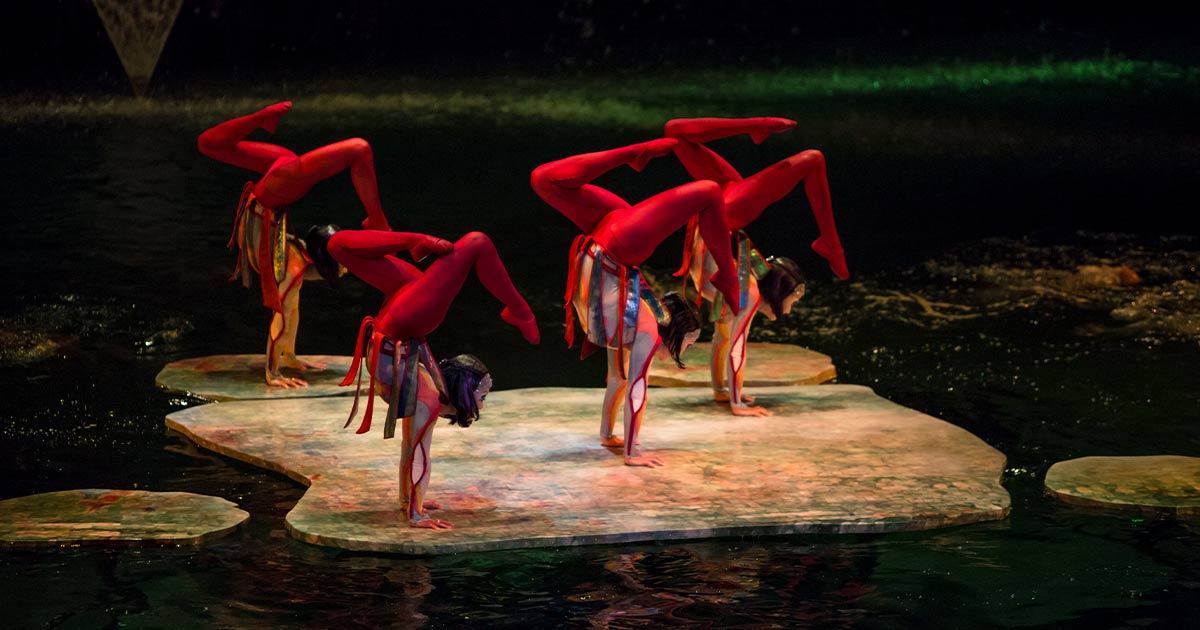 What is a Contortionist? | Blog - Cirque du Soleil