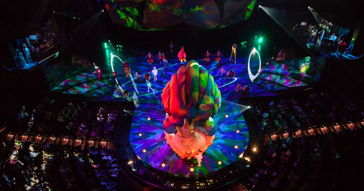 What is Cirque du Soleil Mystère about? | Blog - Cirque du Soleil